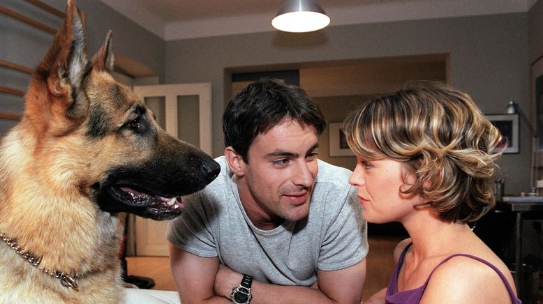 Kommissar Rex (S7/F1) im TV Programm: 19:25 - 17.02. - Sat.1 emotions