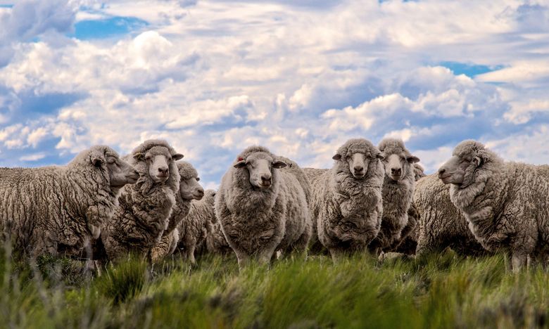 Das Phoenix TV-Programm von heute
