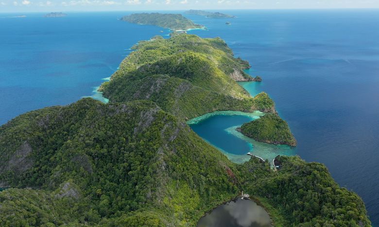 Das Phoenix TV-Programm von heute