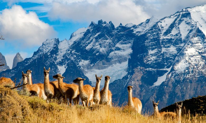 Das Phoenix TV-Programm von heute